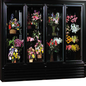 frigo pour fleuriste, chambre froide pour fleuriste, chambre froide ...